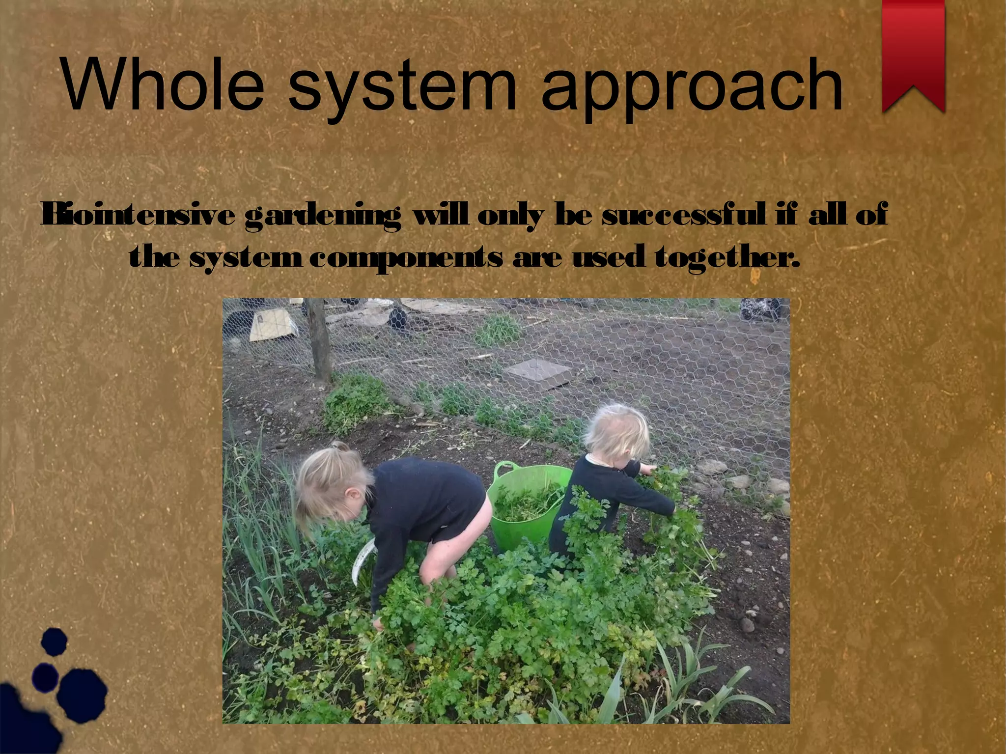 Biointensive Gardening ppt | ODP
