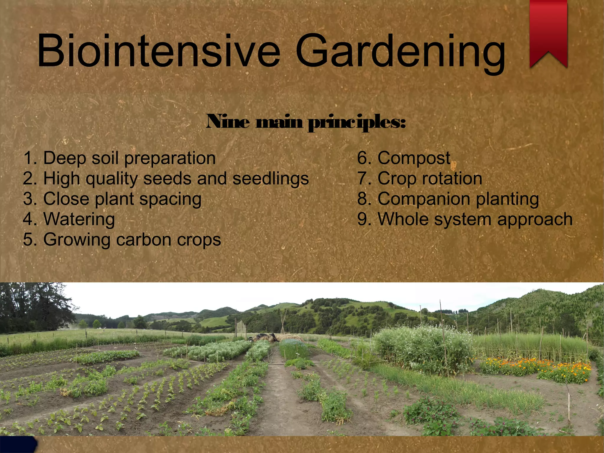 Biointensive Gardening ppt | ODP