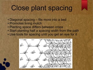 Biointensive Gardening ppt | ODP