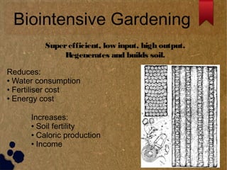 Biointensive Gardening ppt | ODP