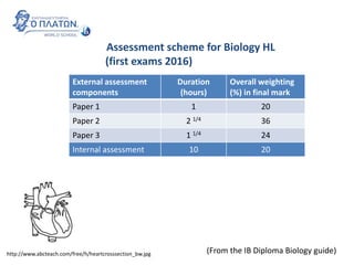 Introduction to IB Diploma Biology | PPT