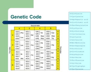Introduction to Bioinformatics from Simon Colton | PPT