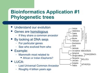 Introduction to Bioinformatics from Simon Colton | PPT