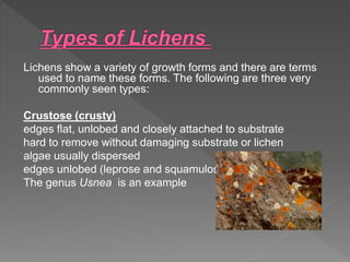 Bio investigatory | PPTX