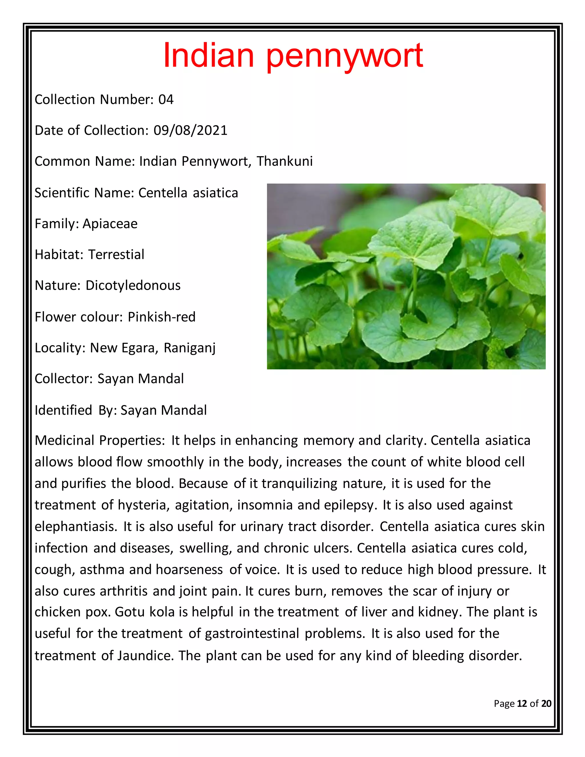 Bio investigatory project .docx