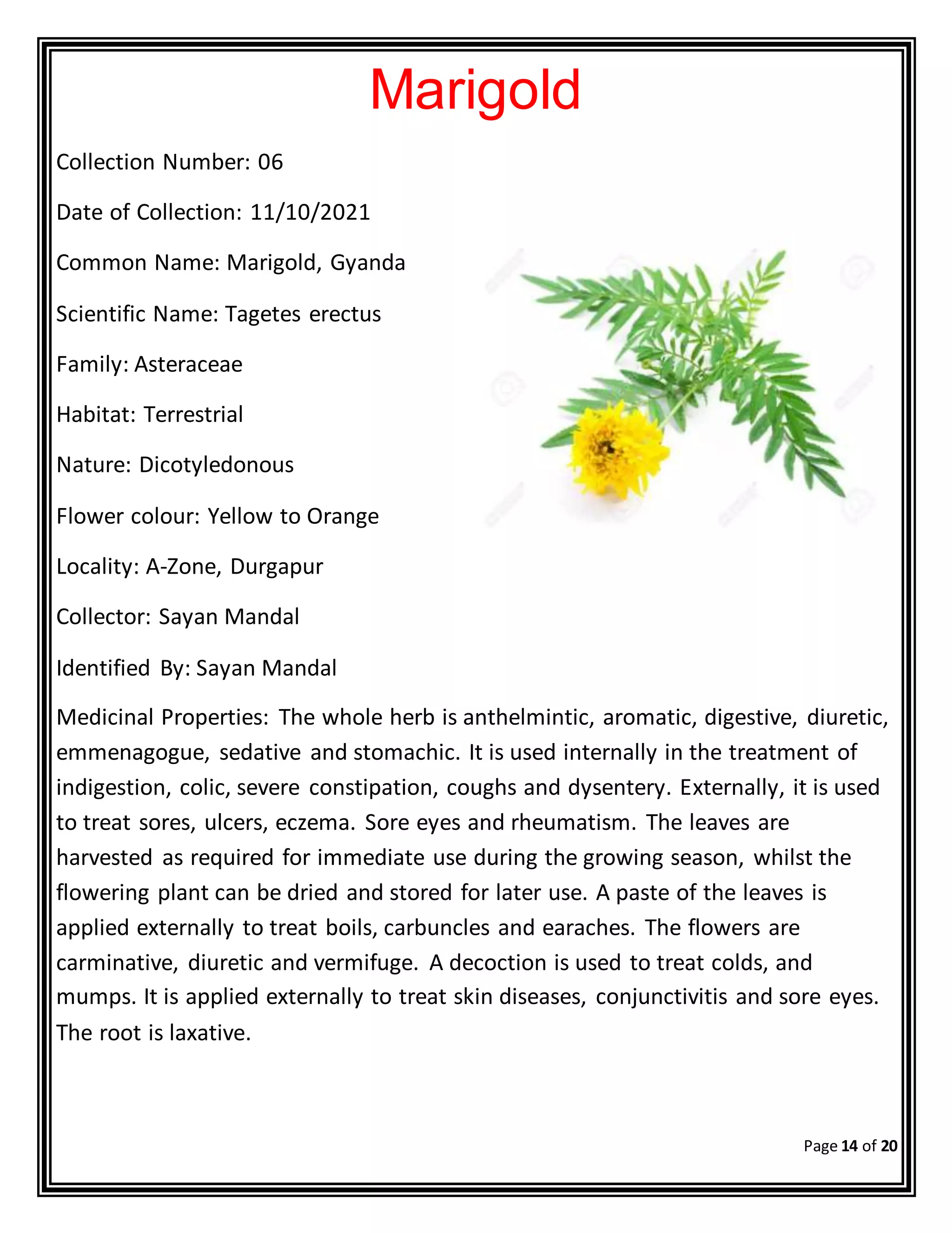 Bio investigatory project .docx