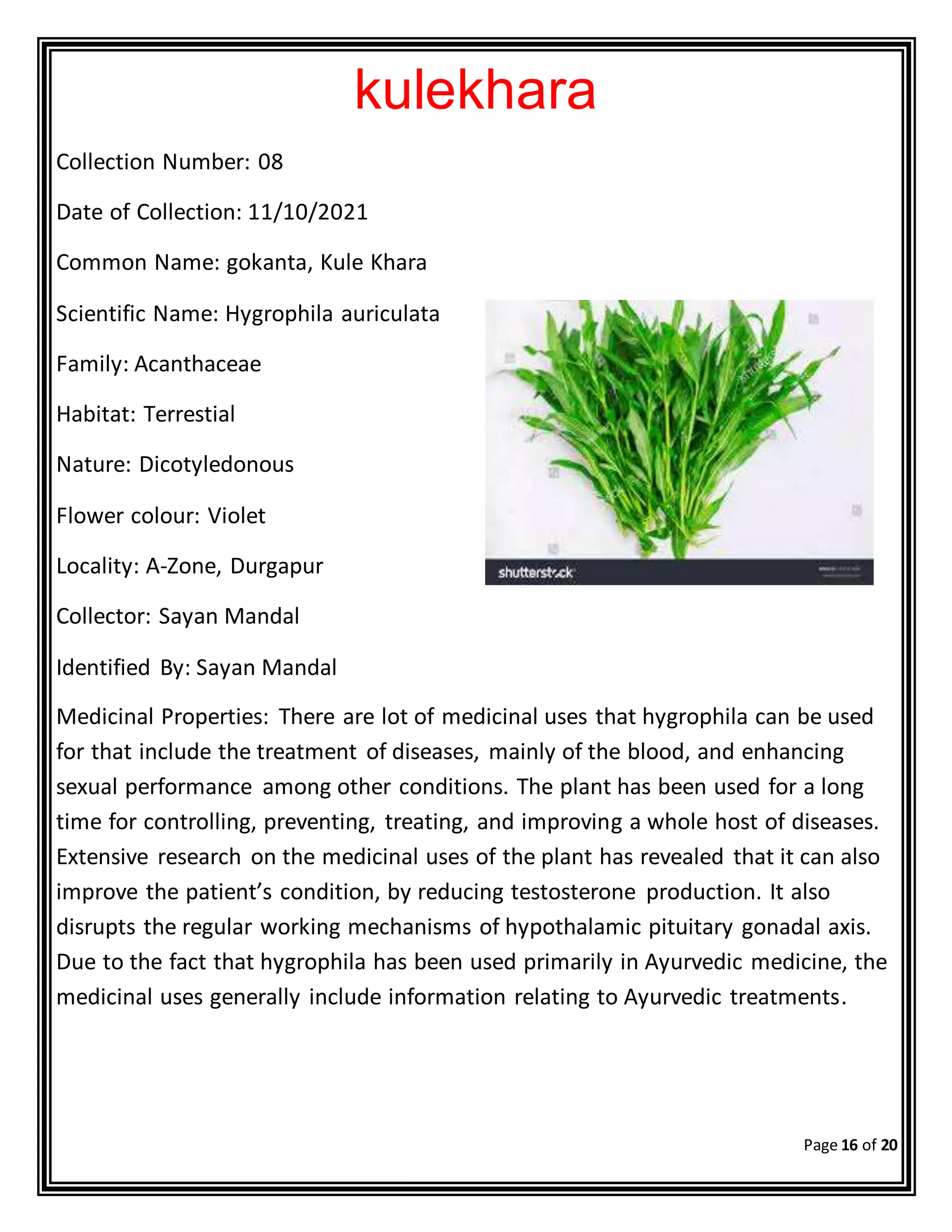 Bio investigatory project .docx