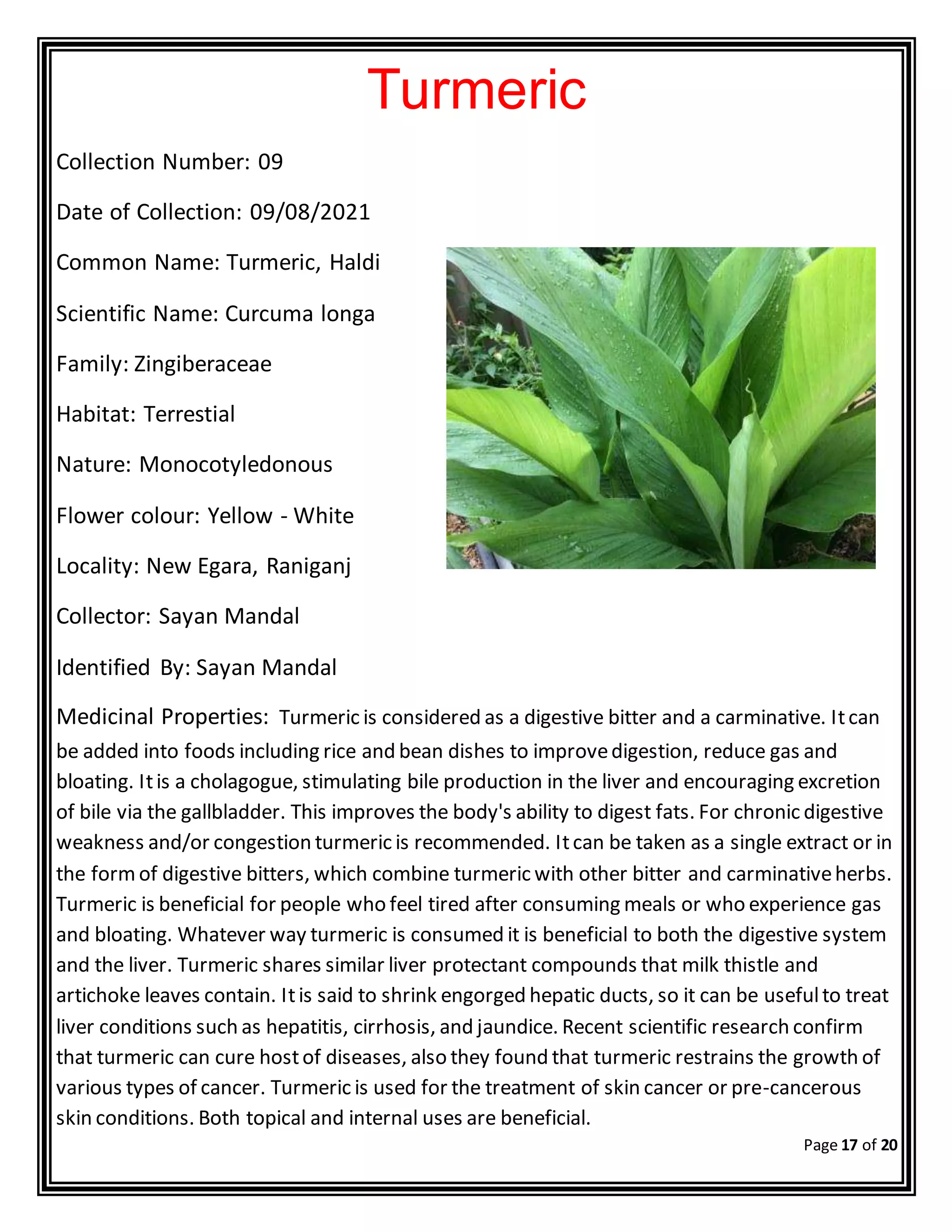 Bio investigatory project .docx