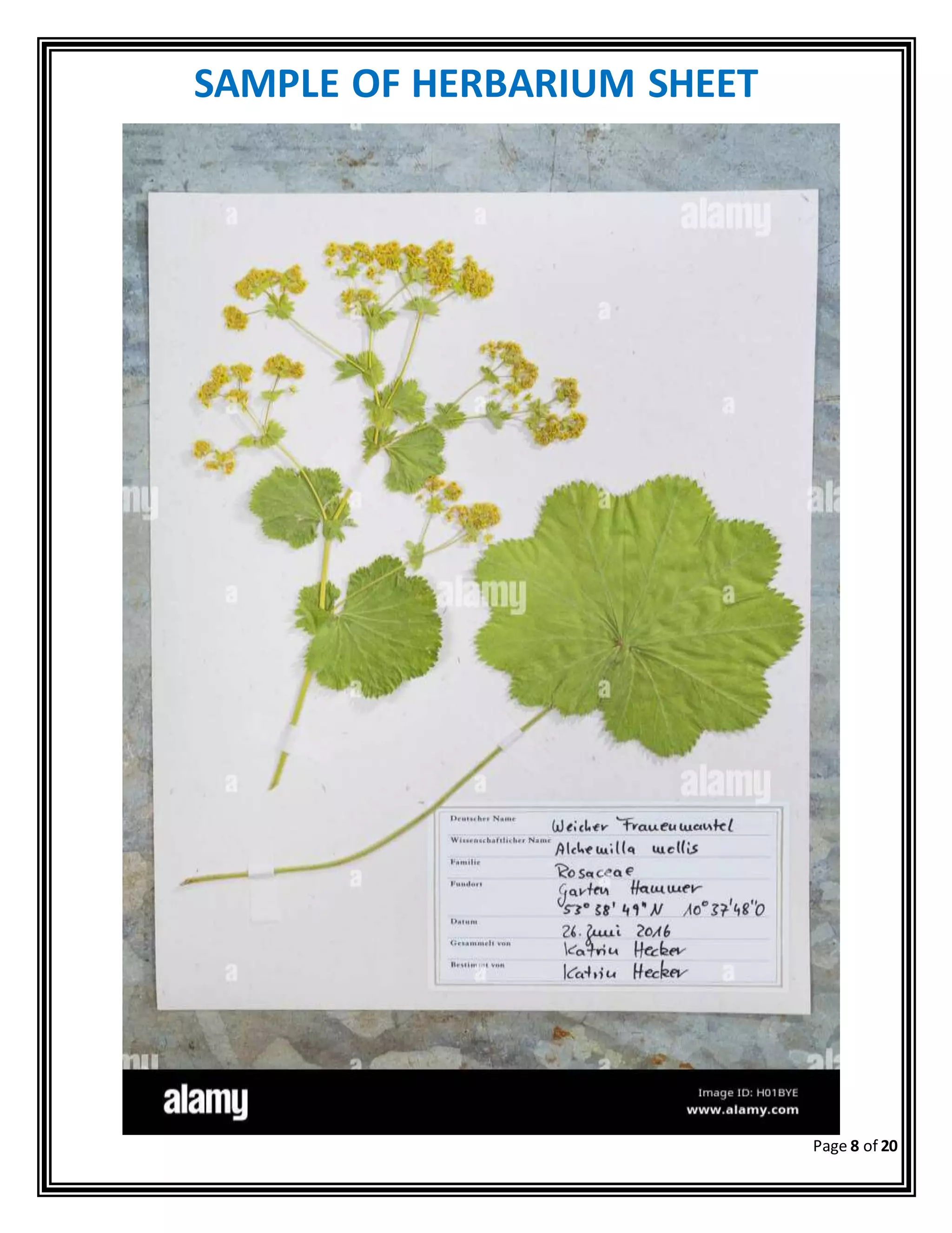 Bio investigatory project .docx