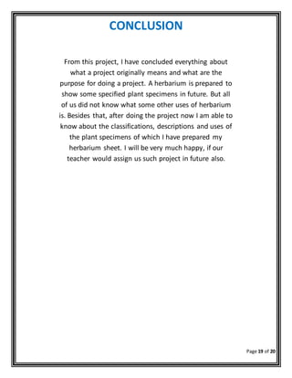 Bio investigatory project .docx