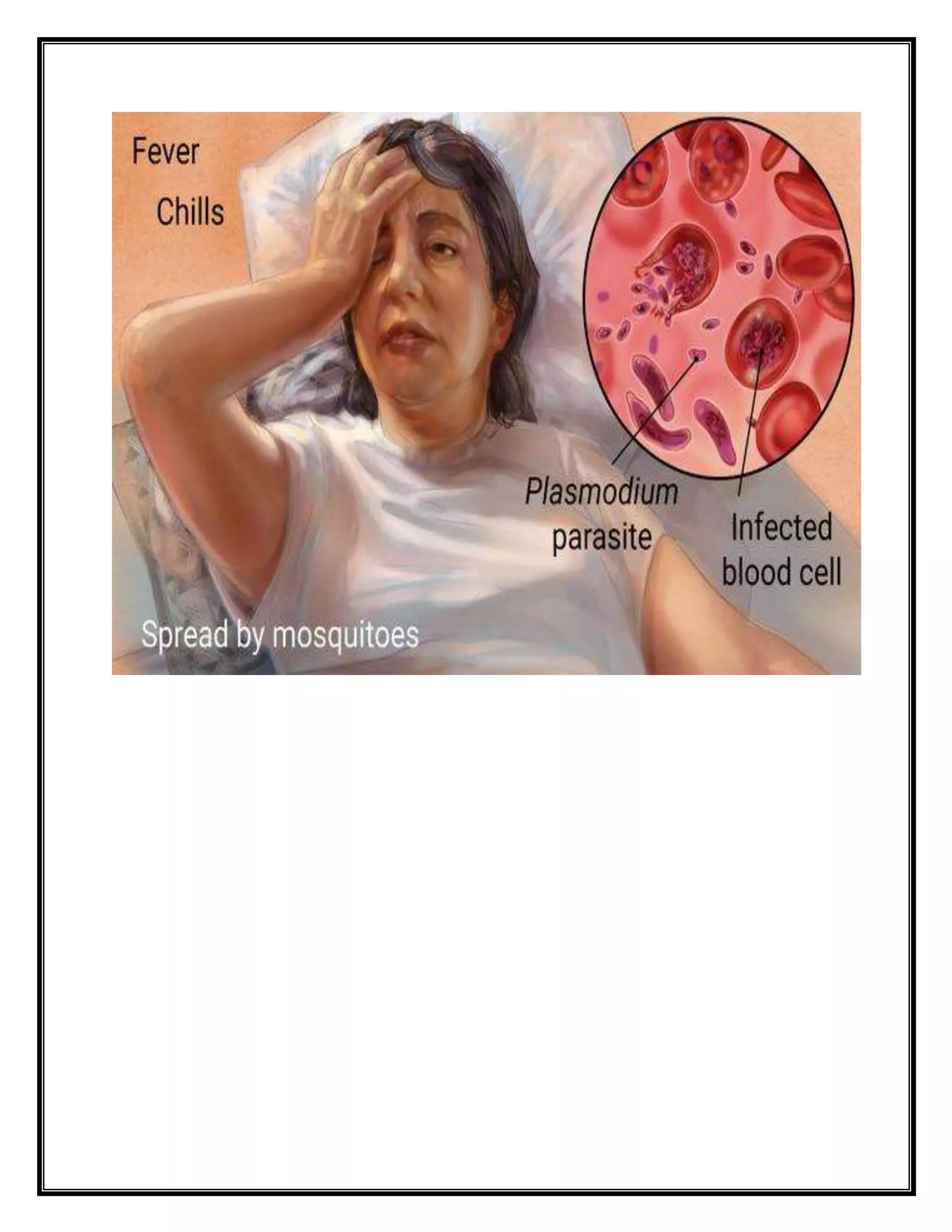 Biology investigatory project class 12 [malaria] | DOCX