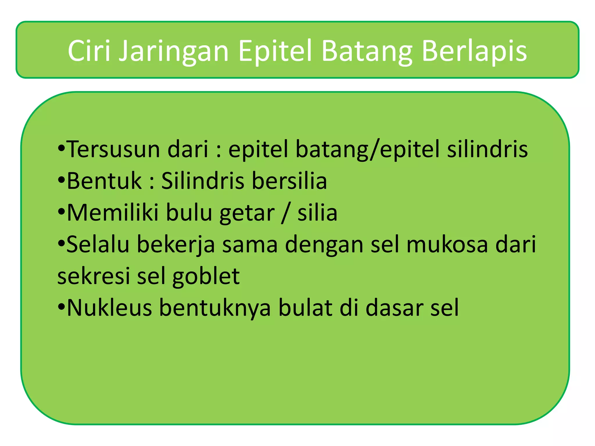 Jaringan Epitel | PPTX