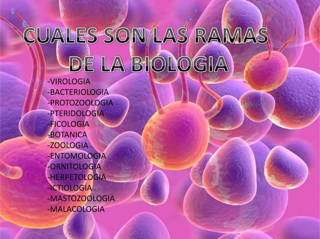 RAMAS DE LA BIOLOGIA | PPT