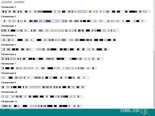 BioJS for representing biological information | PPT