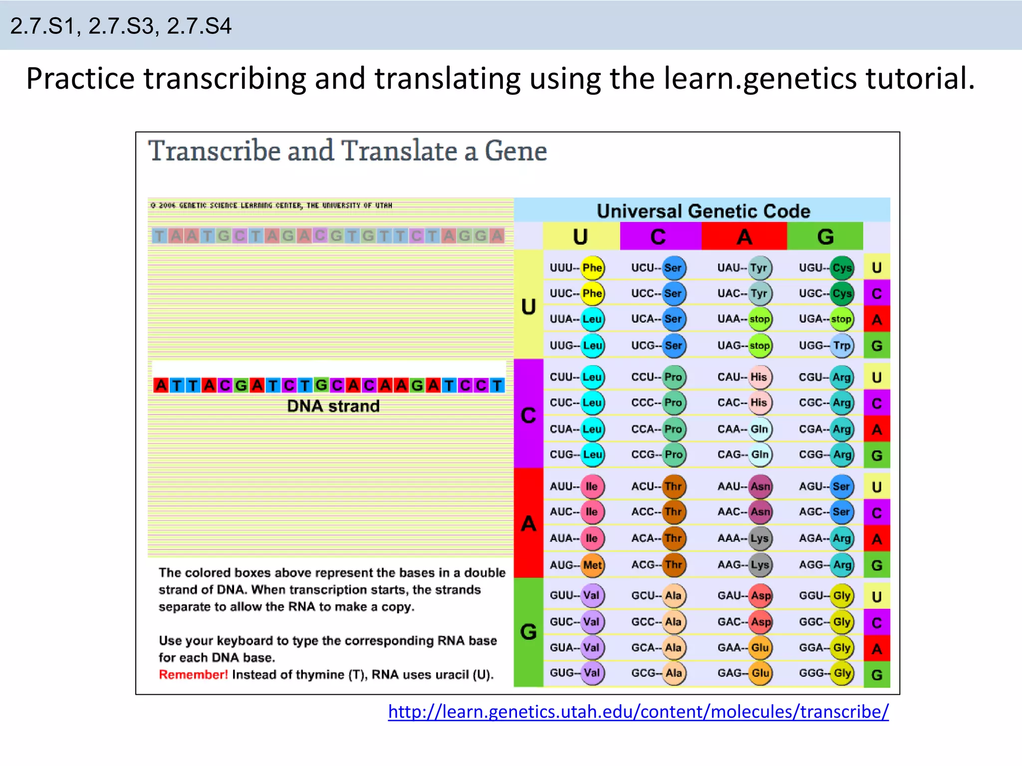Biok_2.7_DNA_replication_transcription_ and_translation.pptx