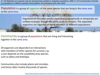 BioK 4.1 Presentation.pptx