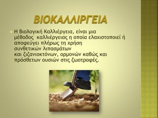 Biokaliergeies | PPT