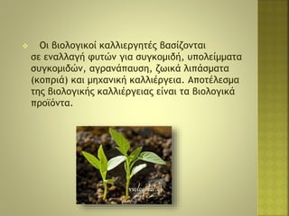 Biokaliergeies | PPT