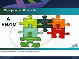 biokatalisator (enzim vitamin mineral.ppt