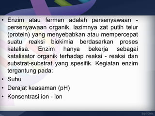 biokatalisator (enzim vitamin mineral.ppt