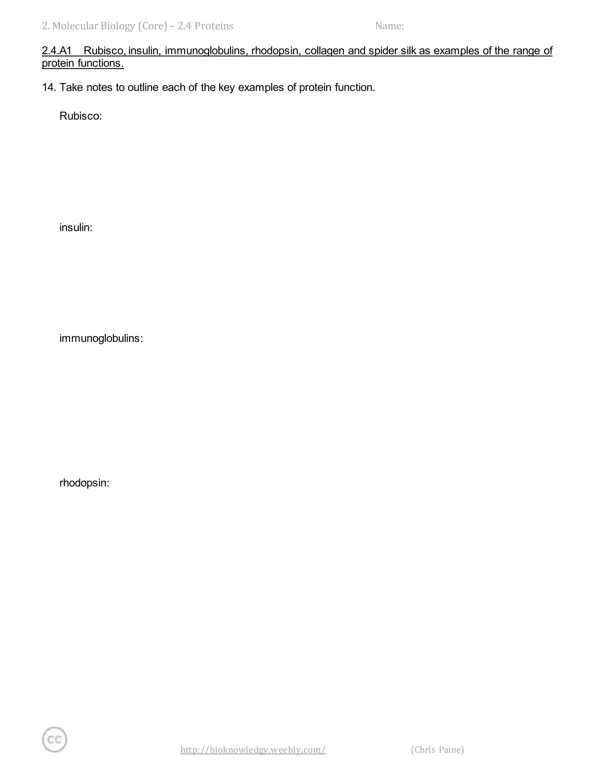 IB Biology Standard 2.4 Proteins Lecture | DOCX