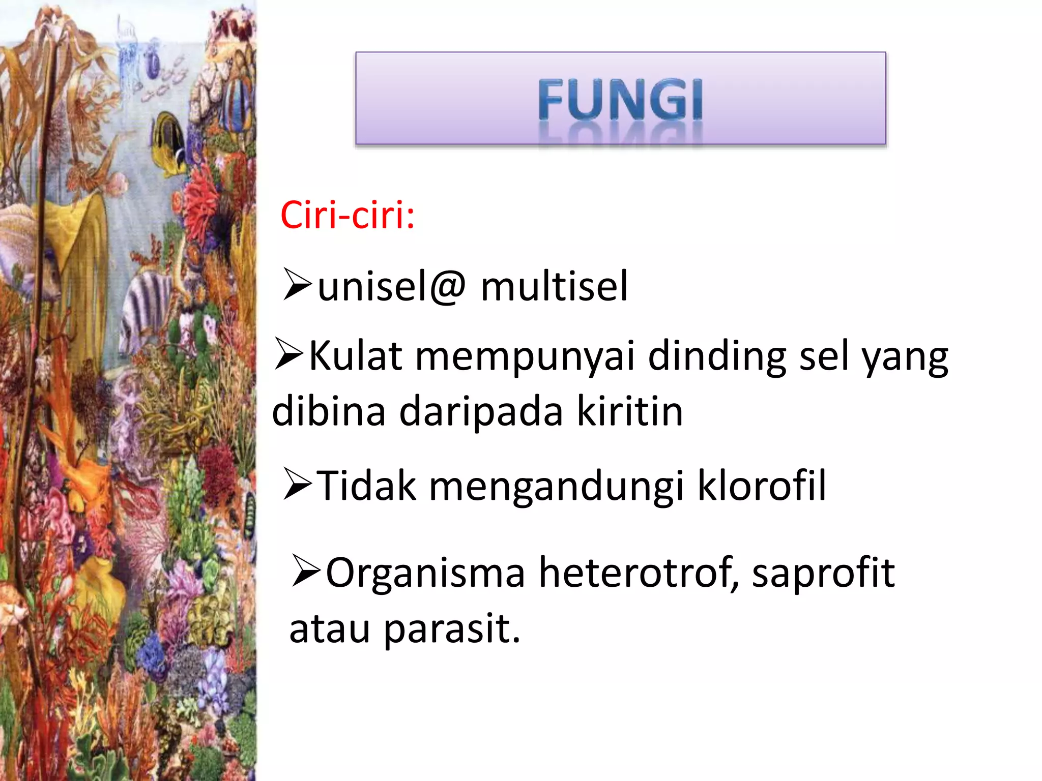 Biokepelbagaian | PPTX