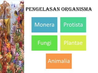 Biokepelbagaian | PPT