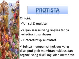 Biokepelbagaian | PPT