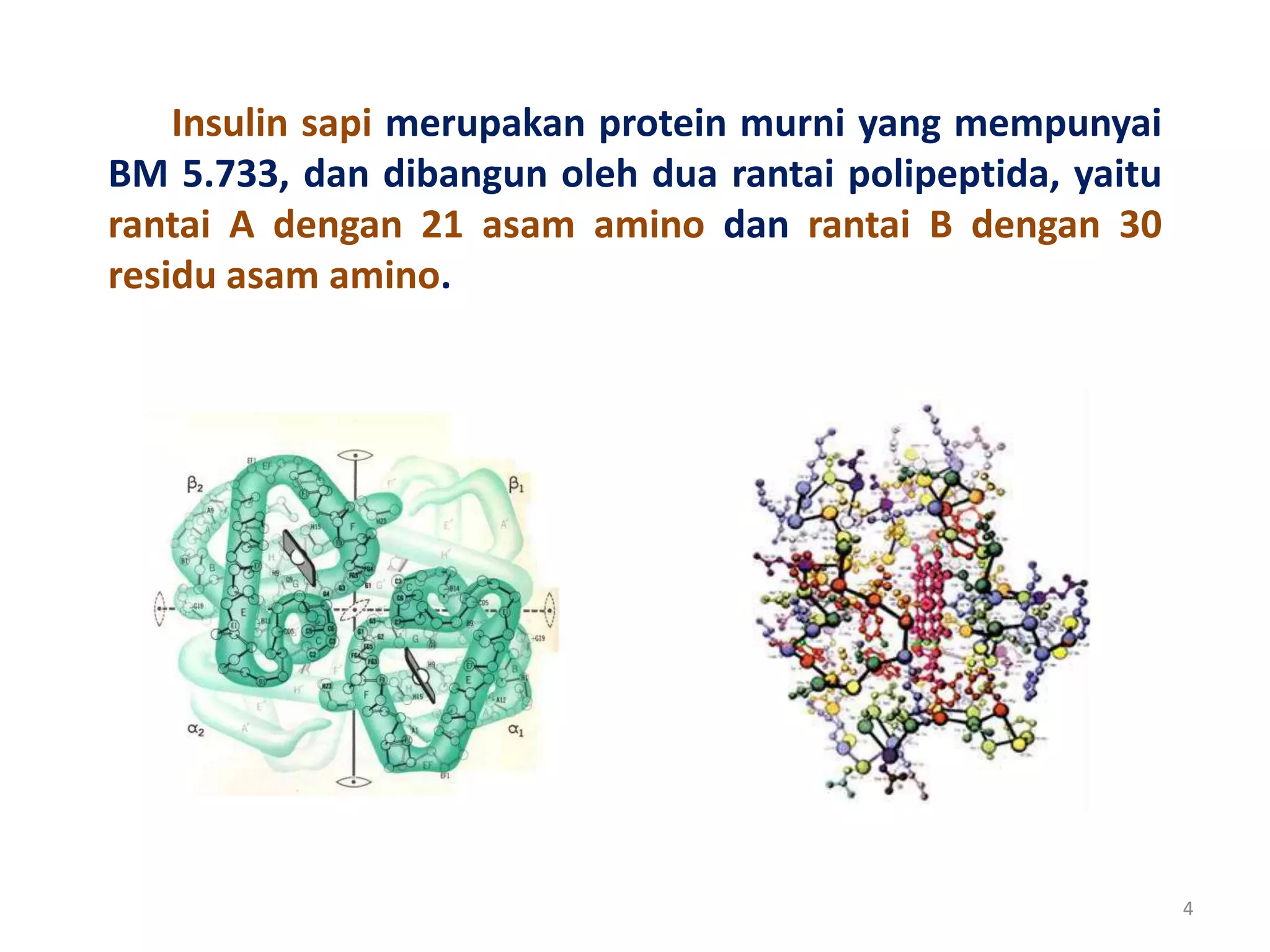 Biokim.3.PROTEIN.pptx