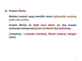 Biokim.3.PROTEIN.pptx