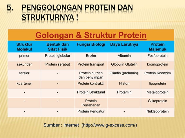 Biokim "Metabolisme Protein" | PPT