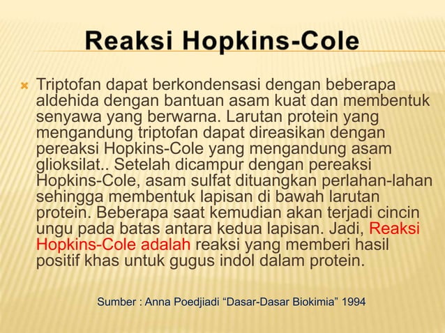 Biokim "Metabolisme Protein" | PPT