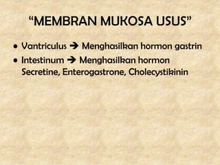 Biokimia - HORMON | PPTX