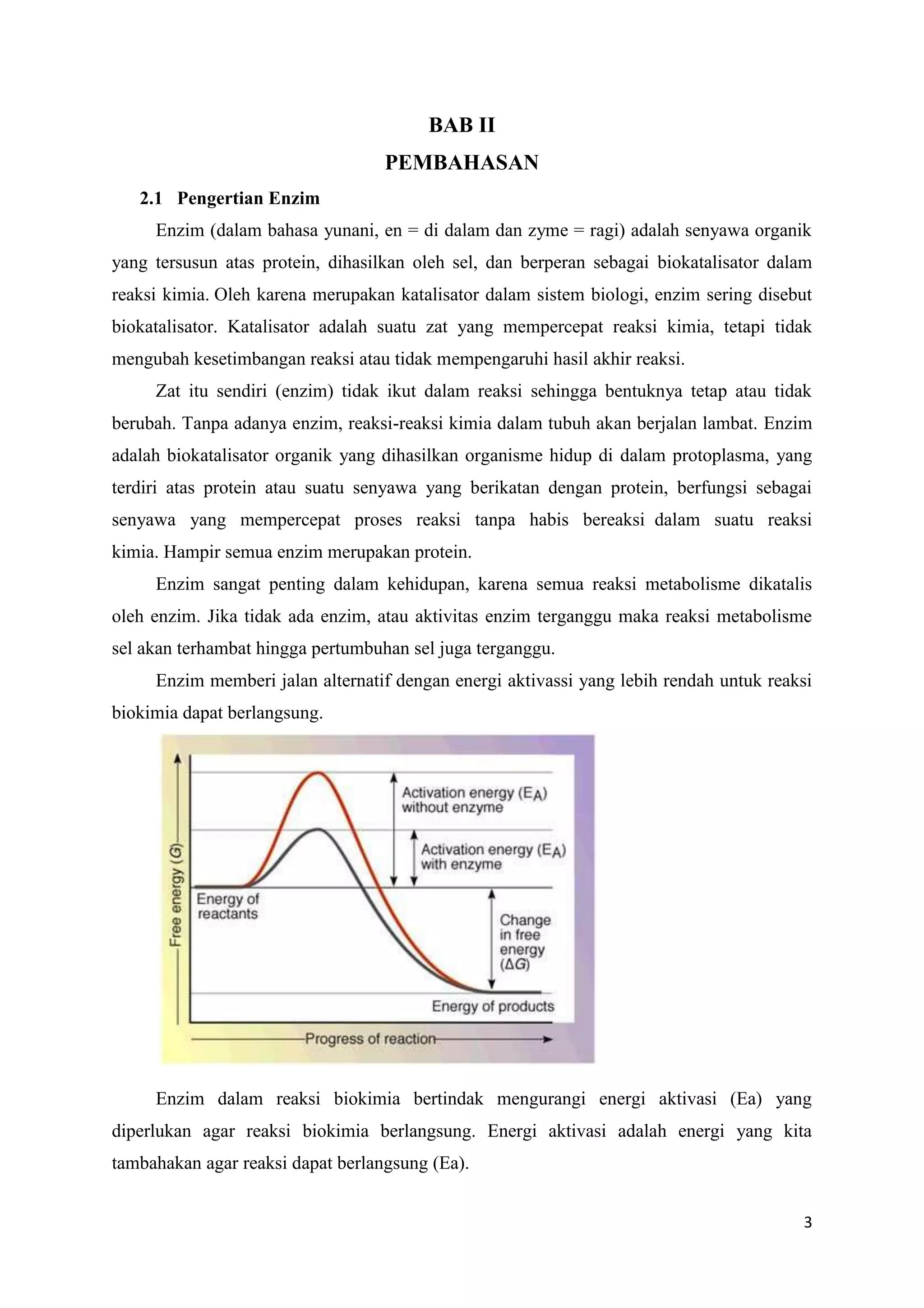 Biokimia - Bab Enzim | PDF