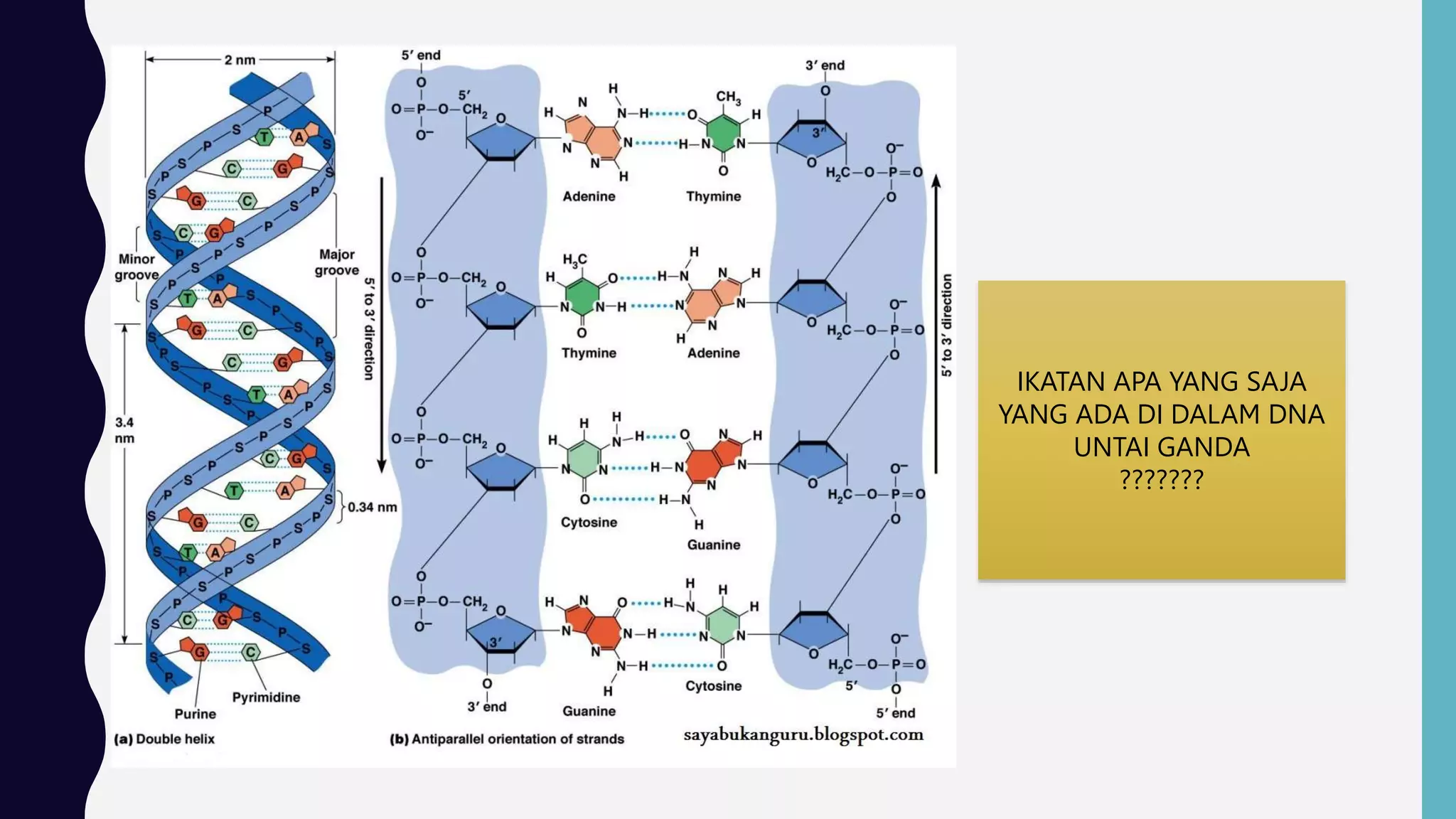 Biokimia.Pertemuan 1.ppt