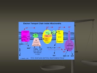 ++ Biokimia - Bio Energetika Rantai Respirasi & Fosforilasi Oksidatif.ppt