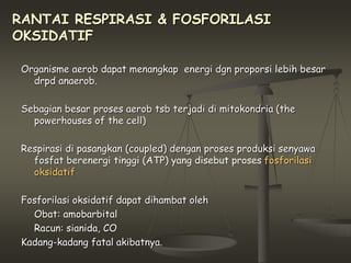 ++ Biokimia - Bio Energetika Rantai Respirasi & Fosforilasi Oksidatif.ppt