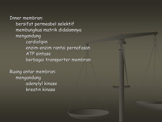 ++ Biokimia - Bio Energetika Rantai Respirasi & Fosforilasi Oksidatif.ppt