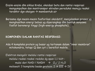 ++ Biokimia - Bio Energetika Rantai Respirasi & Fosforilasi Oksidatif.ppt