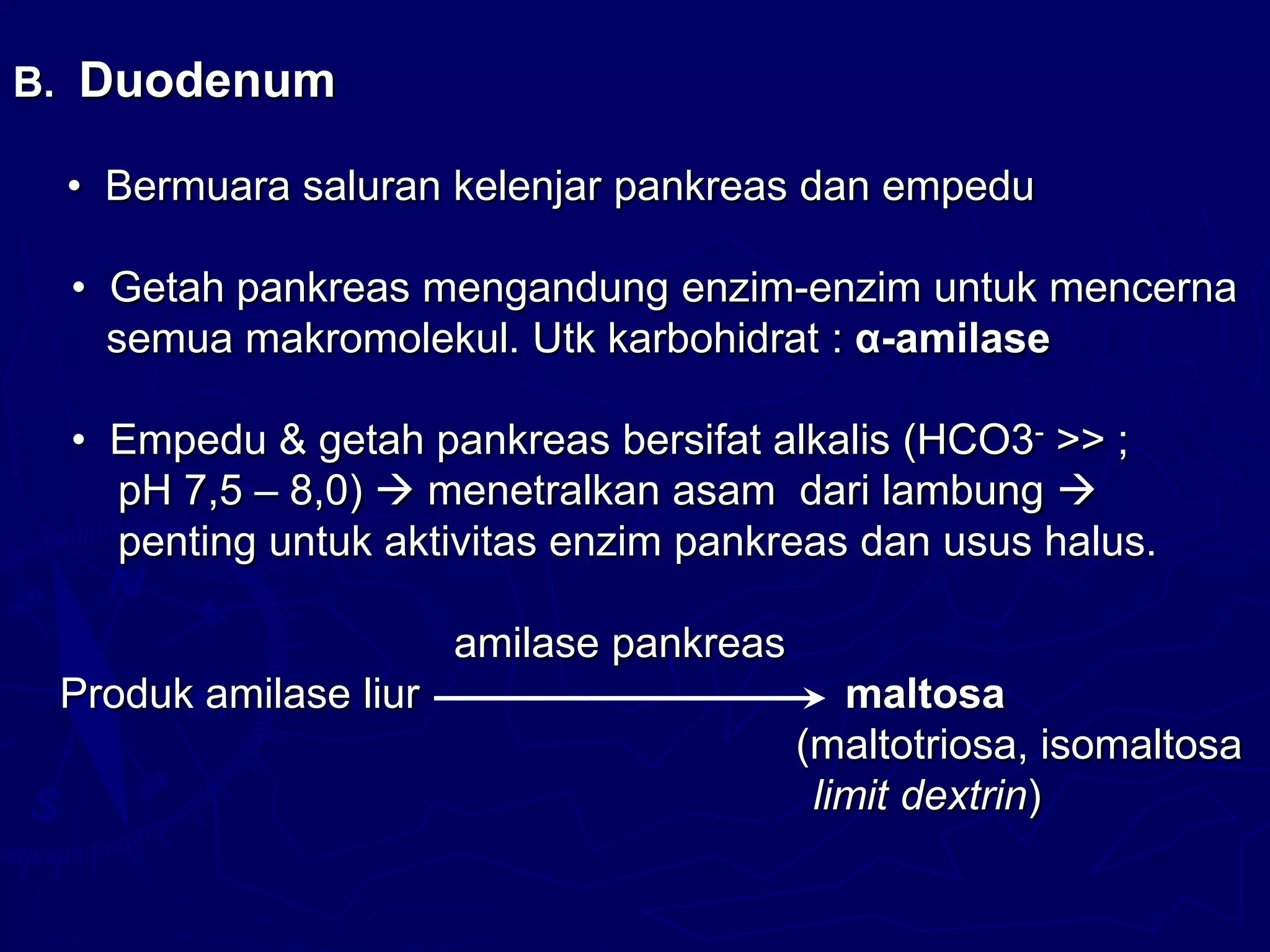 Biokimia - Gastrointestinal (bu Endah).ppt