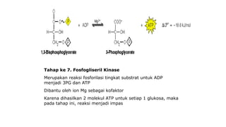 Biokimia-Metabolisme Karbohidrat-Lect 2.ppt