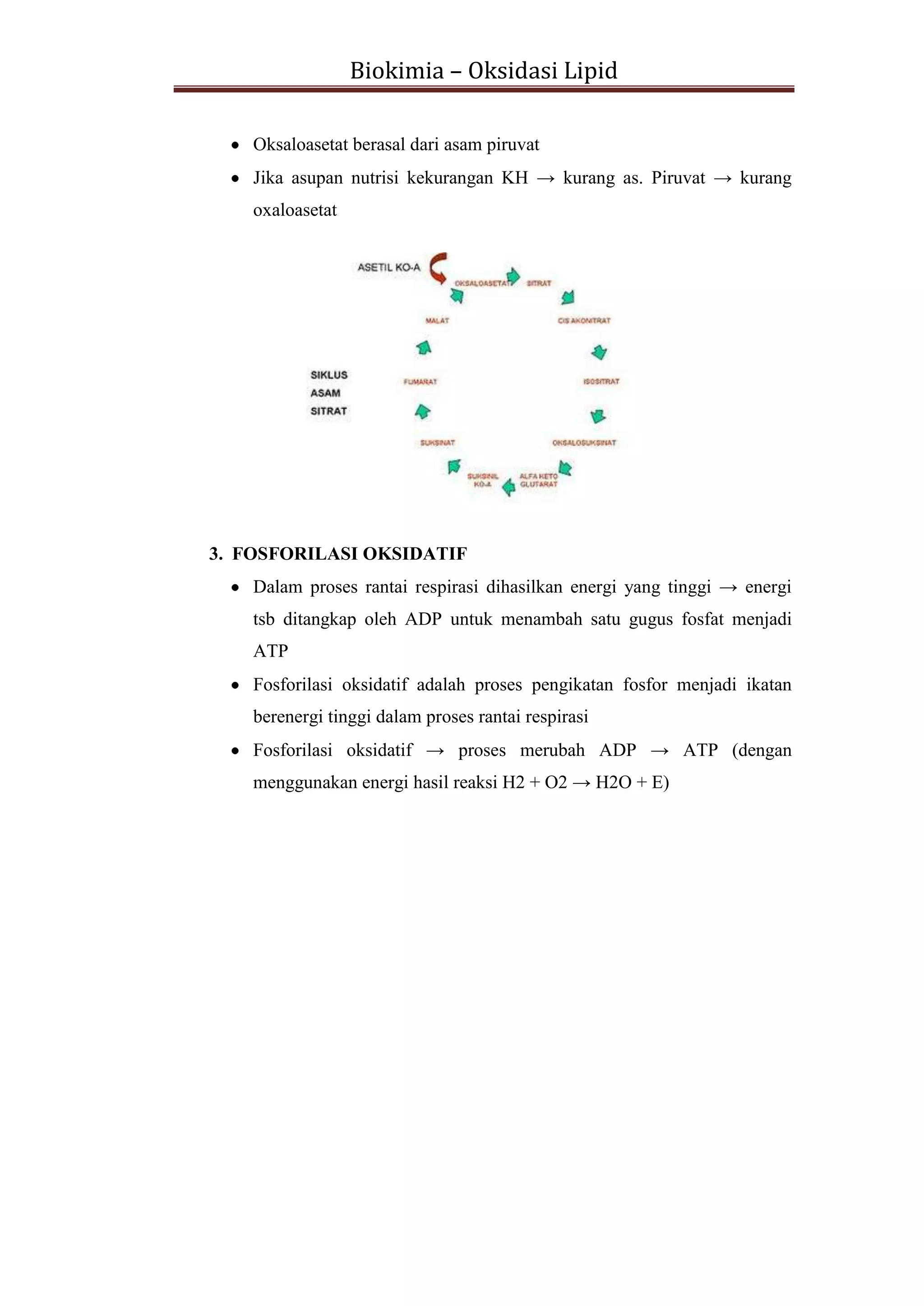 Biokimia oksidasi lipid | DOCX