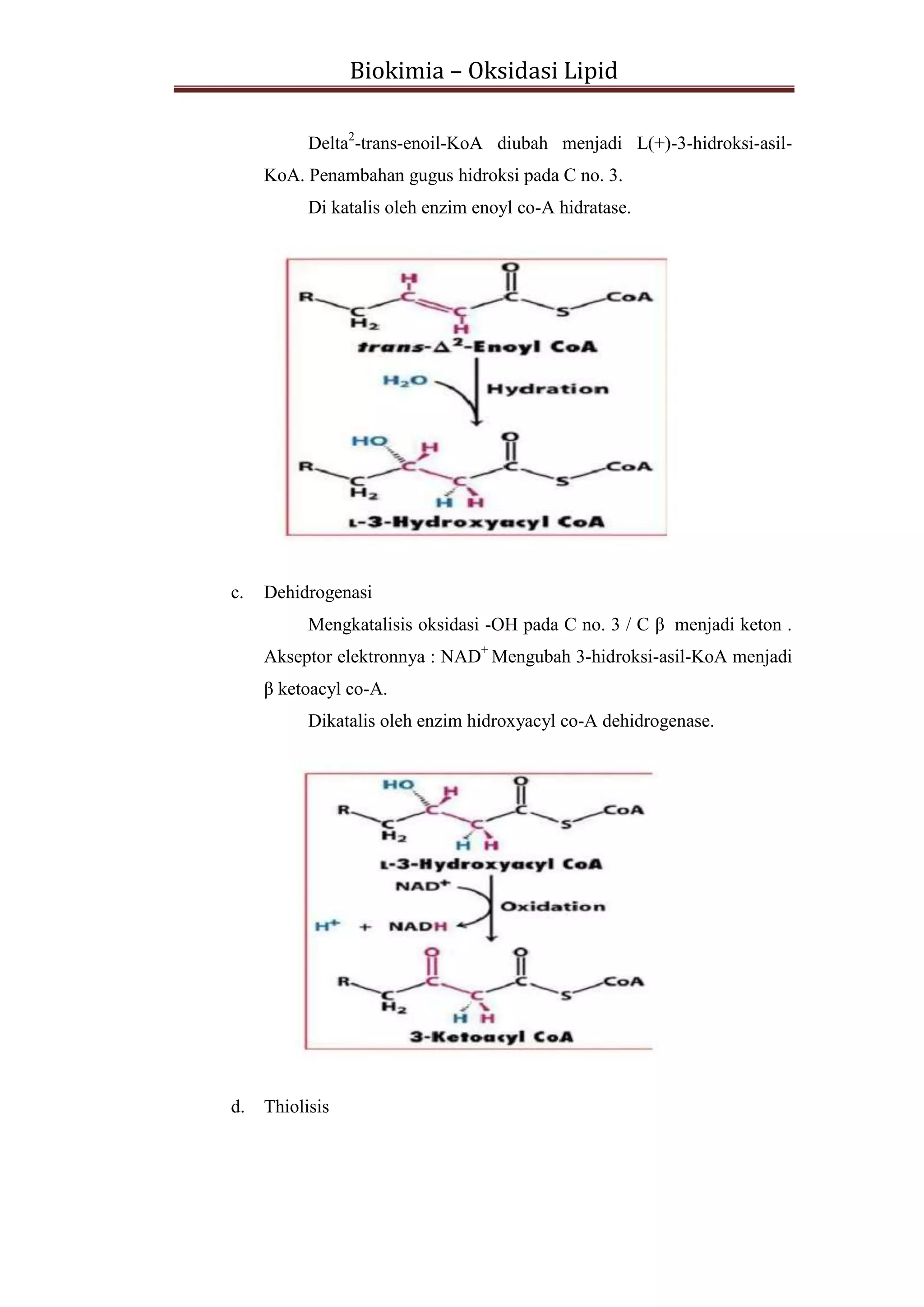 Biokimia oksidasi lipid | DOCX