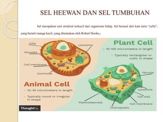 Biokimia 1 gita aryanti_q1a119075 | PPT