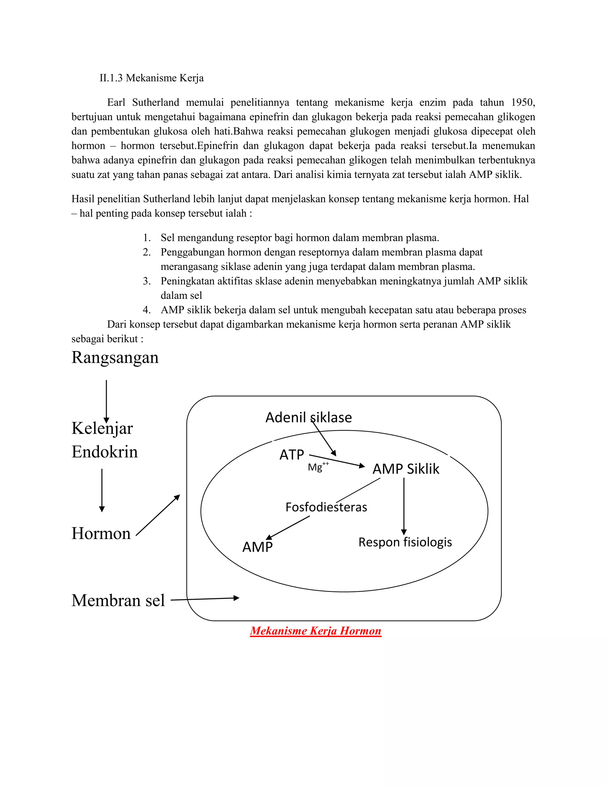makalah peranan hormon , enzim dan asam nukleat pada metabolisme tubuh ...