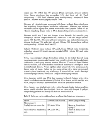 makalah peranan hormon , enzim dan asam nukleat pada metabolisme tubuh ...