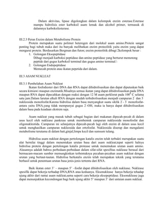 makalah peranan hormon , enzim dan asam nukleat pada metabolisme tubuh ...