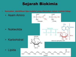 Biokimia dan Metabolisme Pertemuan -2.pptx
