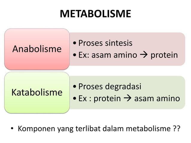 MATERI ATLM TEORI BIOKIMIA SEMESTER 3 2024 | PPT