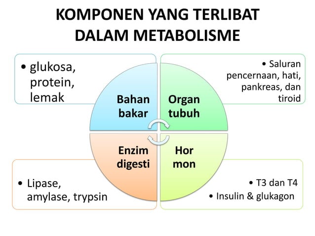 MATERI ATLM TEORI BIOKIMIA SEMESTER 3 2024 | PPT